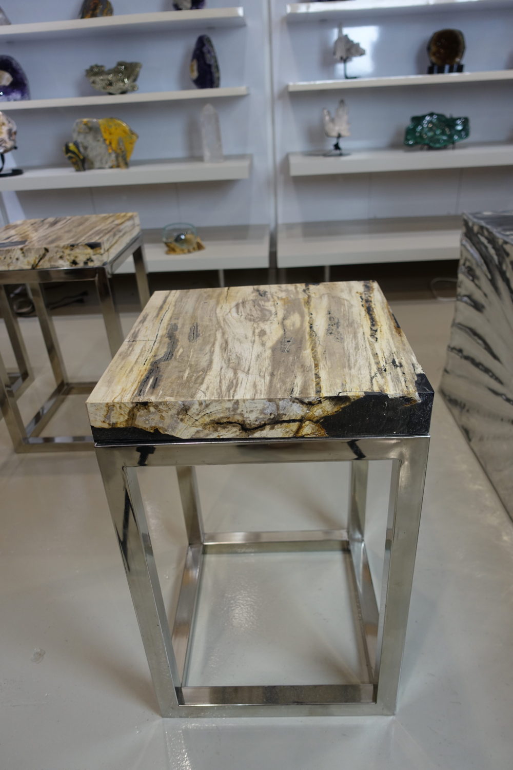 Petrified Wood Side Table | Sticks and Stones Collection